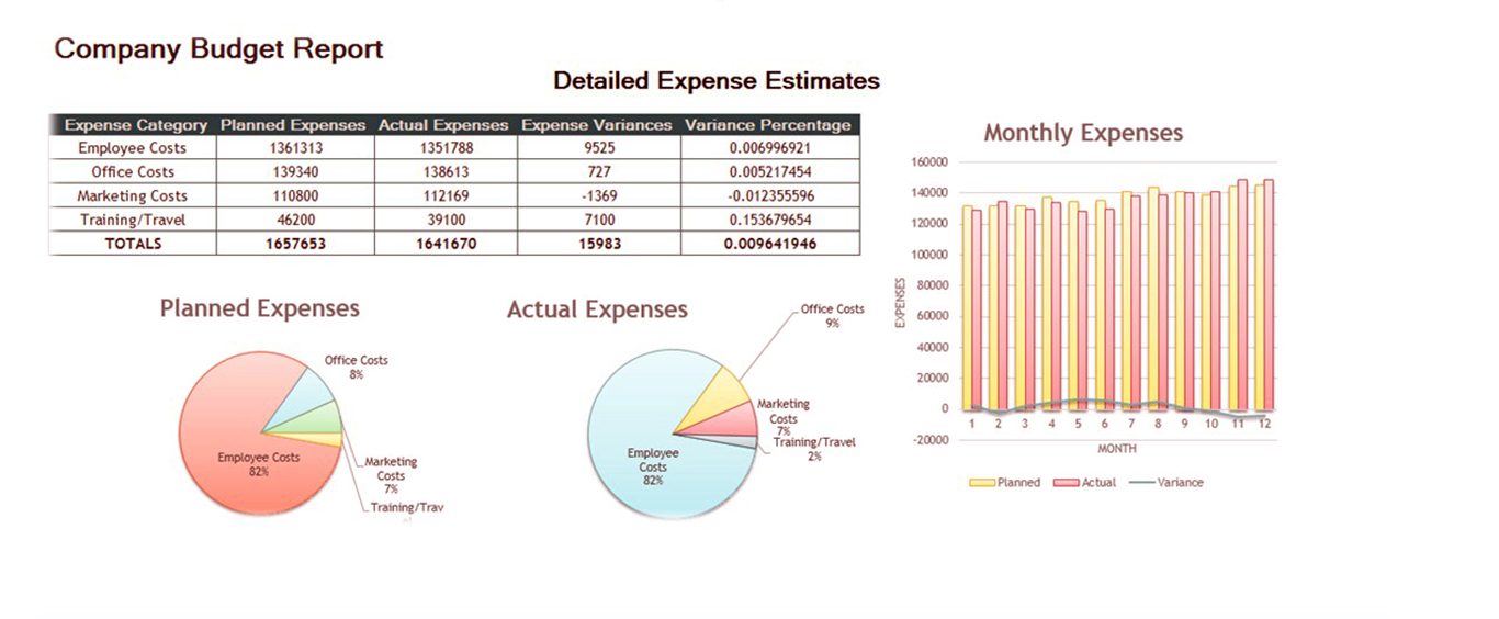 MIS Excel reports automatically from Tally